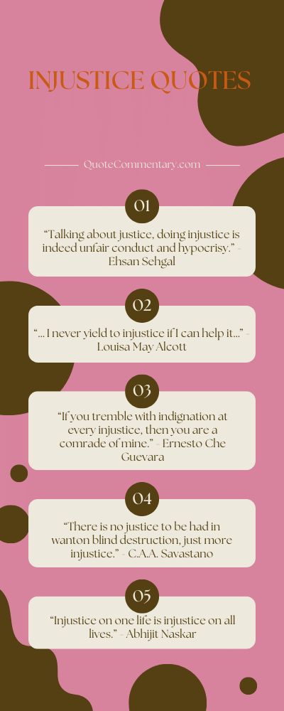 60 Injustice Quotes Their Meaningsexplanations